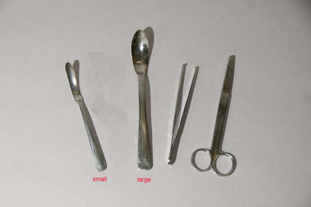 NVSL Kit and Instrument Catalog | Animal and Plant Health Inspection ...